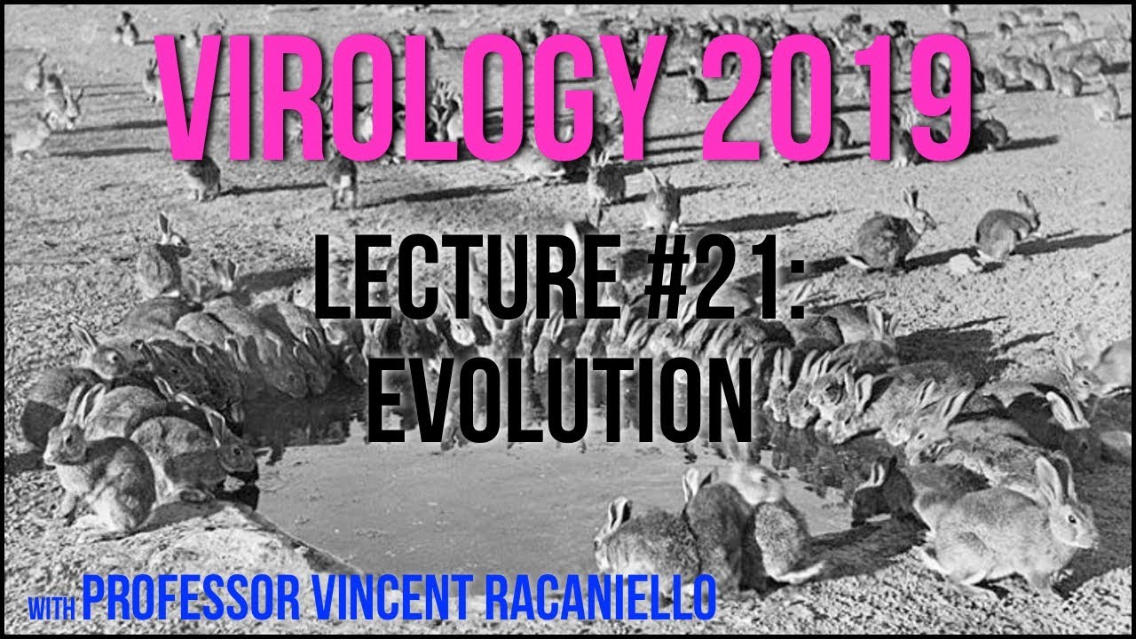 Virology Lectures 2019 #21: Evolution