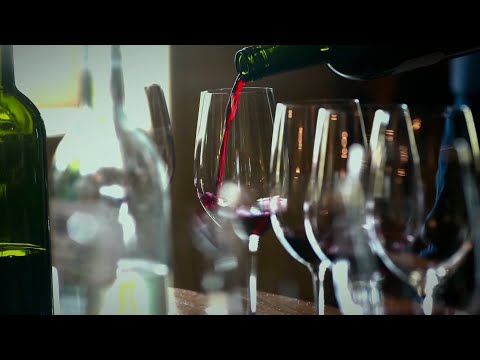 GLOBALink | From Gobi to vineyards: How the wine industry reshapes China's Ningxia