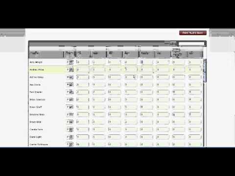 BNI VP How to Enter PALMS