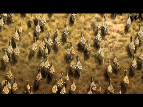 Marile Migratii, cel mai amplu proiect din istoria National Geographic ...