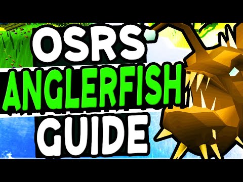 Ultimate Anglerfish Fishing Guide Old School Runescape