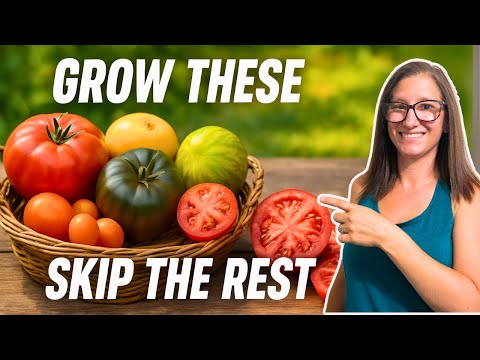 Top 5 Tomato Varieties That Will THRIVE in Your Florida Garden—You Have to See #5!