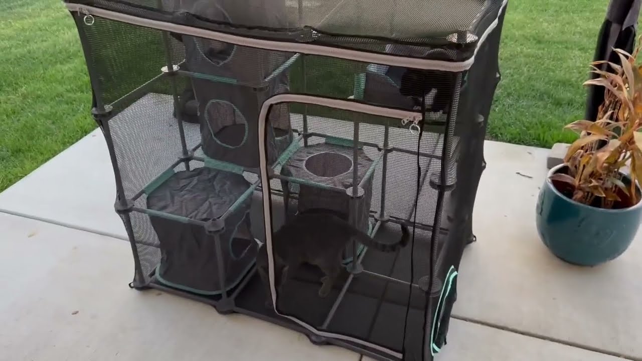 Kitty City Outdoor Mega Kit for Cats Review, Great way to get those indoor cats outdoors