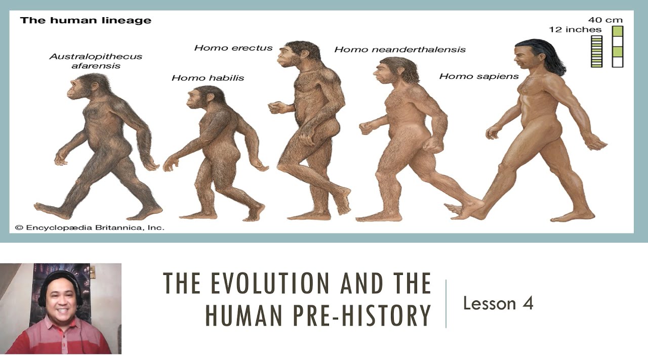 UCSP- (SHS)- The Evolution and The Human Pre History