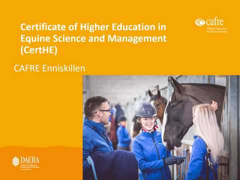 Certificate of Higher Education in Equine Science and Management online course, CAFRE