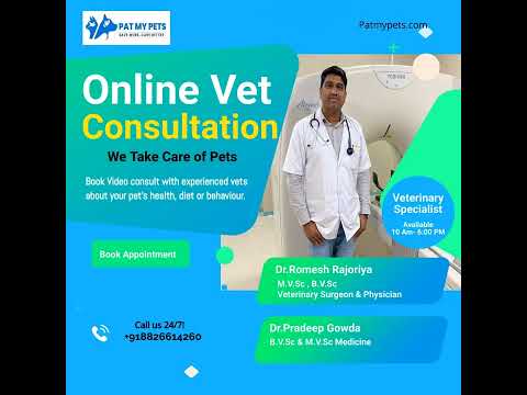 Online vet consultation at Just Rs 300 - 24x7 Veterinary Service
