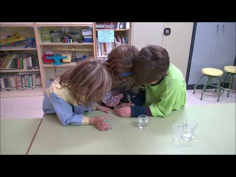 Colores saltarines – Taller de Ciencias