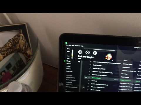 Trying out the brand new 2017 1,000 WATTS Mackie Thump15