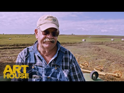 Art House Extra | Remembering KC Chiefs Great Jim Tyrer