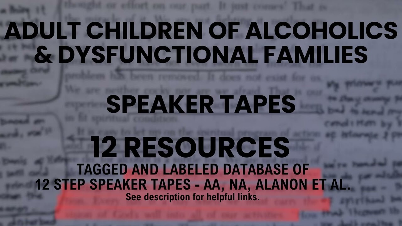 The Loving Parent Guidebook Reparenting Check-in Workshop - ACA Speaker Meeting