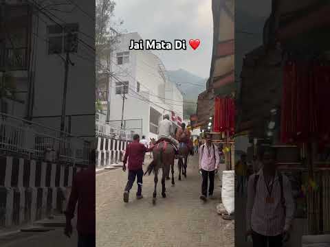 वैष्णो देवी यात्रा 2025 | Journey to Maa Vaishno Devi Temple #JaiMataDi #youtubeshorts #maavaishnavi