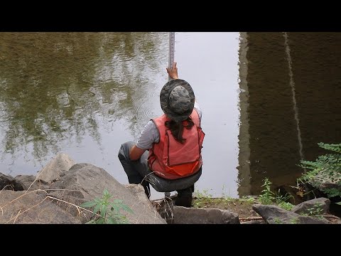 Bi-state study boosts understanding of Walla Walla River basin