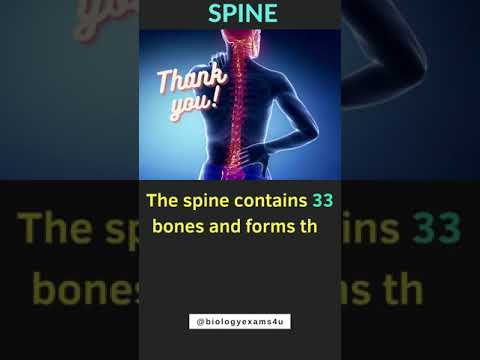 Interesting Bone Facts