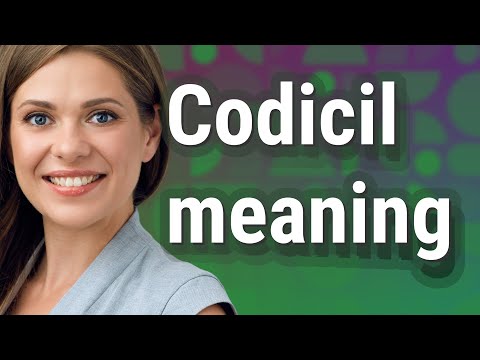 Codicil | meaning of Codicil