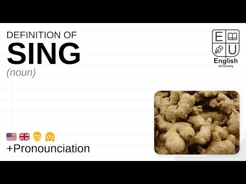 SING meaning, definition & pronunciation | What is SING? | How to say SING