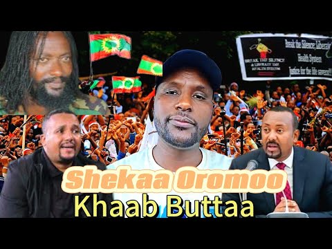 Shek Khaab Butta Haala Yeero Irra