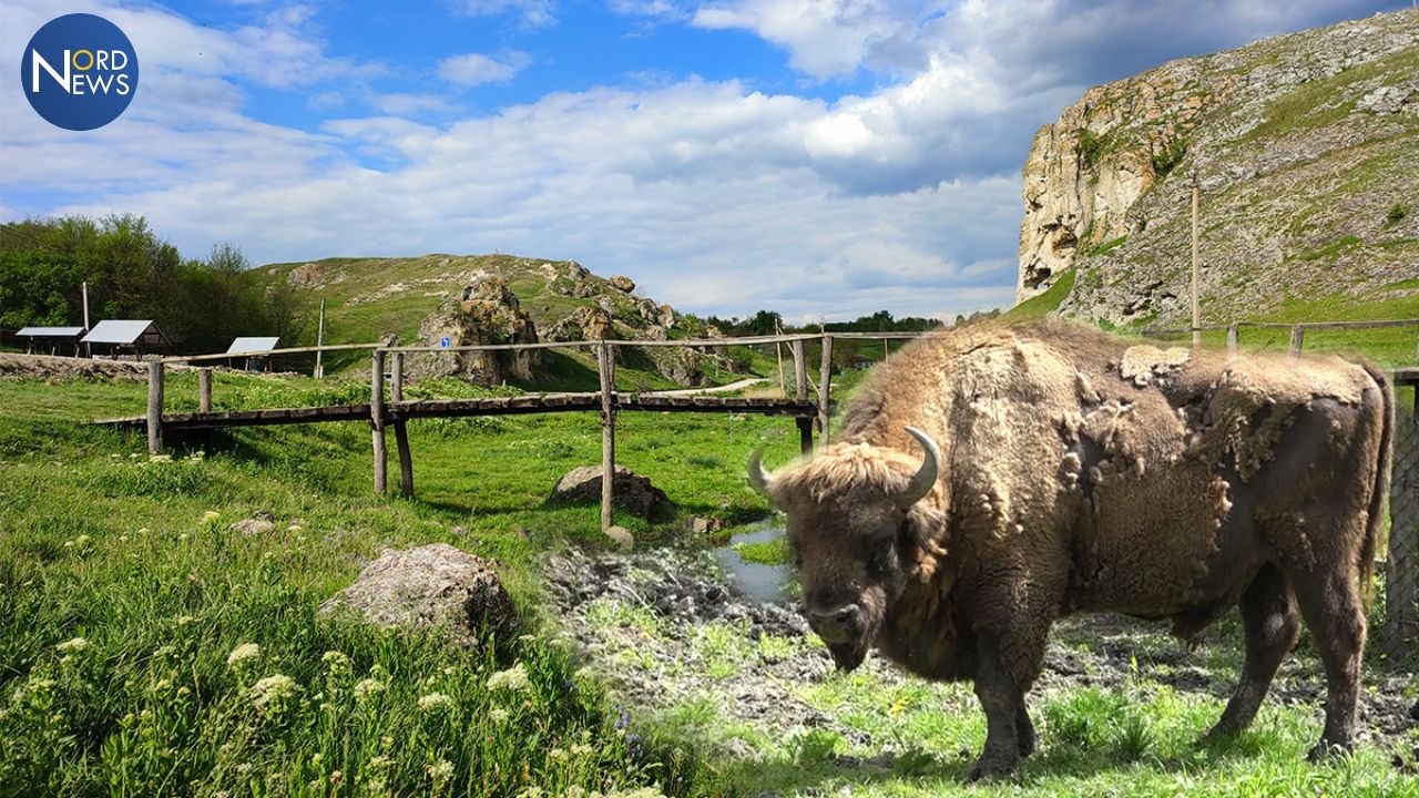 Excursie prin nordul Moldovei. Destinații turistice care merită a fi ...