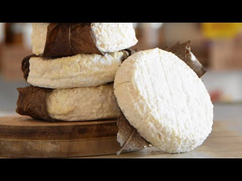 Discover Mothais sur Feuille: A Leafy French Delight | CheeseHeavenTV