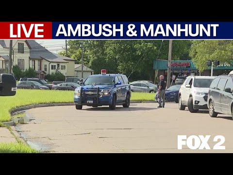 LIVE: Southgate ambush & manhunt, extreme heat, and other headlines