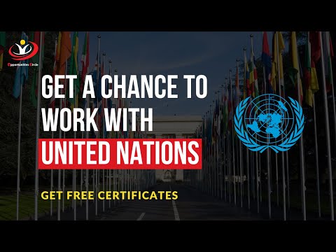 UN Online Volunteer Program | Complete Guide | Work with UN