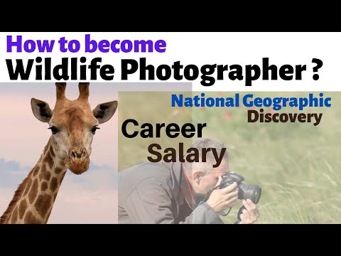 Wildlife photography career in India | How to become wildlife photographer in India?