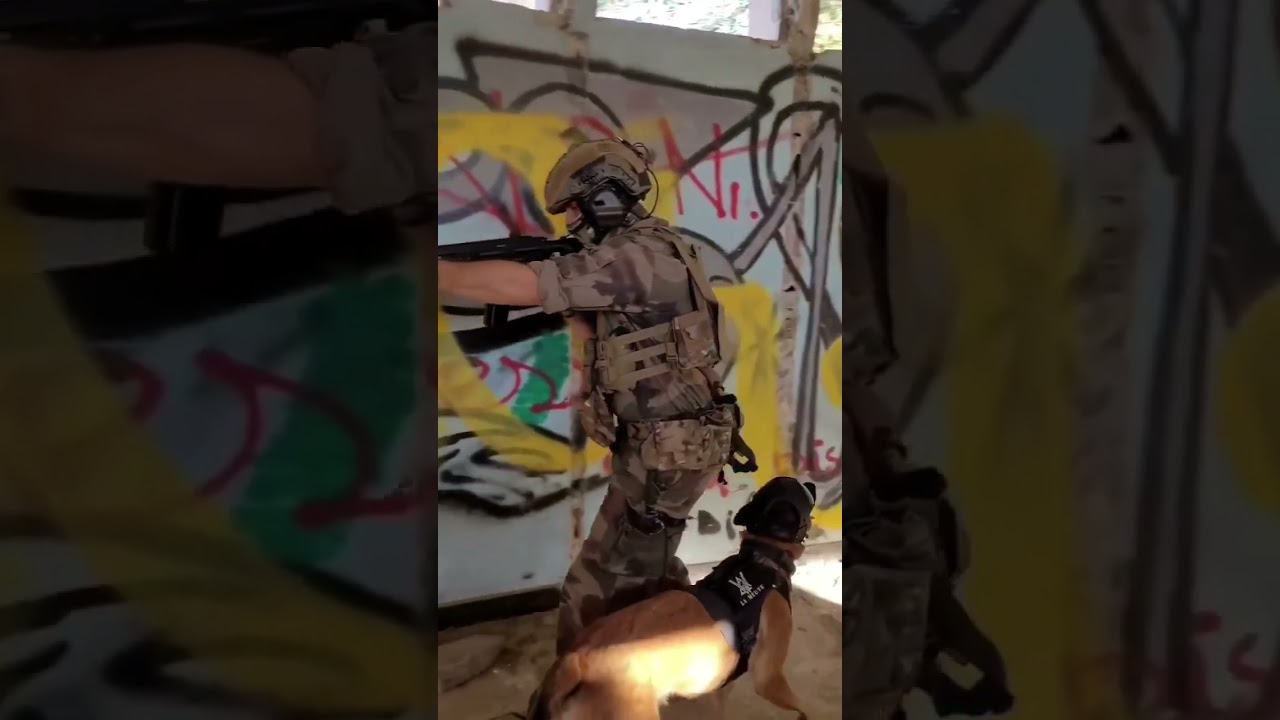 treinamento exclusivo com K9 cão 🐕‍🦺 policia