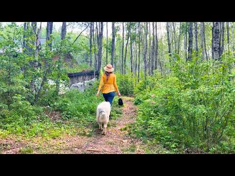 Off Grid Mom Living in Northern Canada - Spend the Day with Me