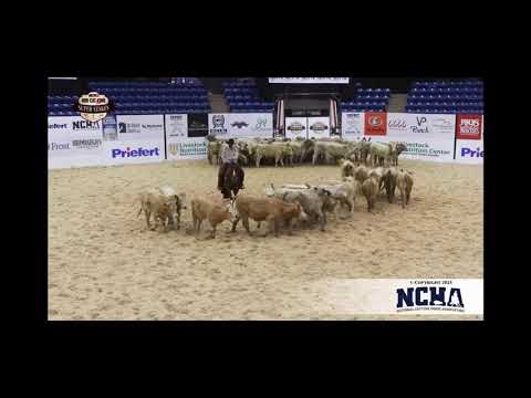 Sugar Shaker - 2020 Sorrel Mare
