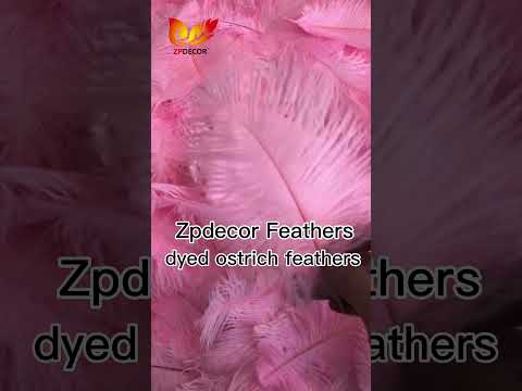 Have you seen so much and beautiful ostrich feathers from #zpdecorfeathers #ostrichfeathers #feather