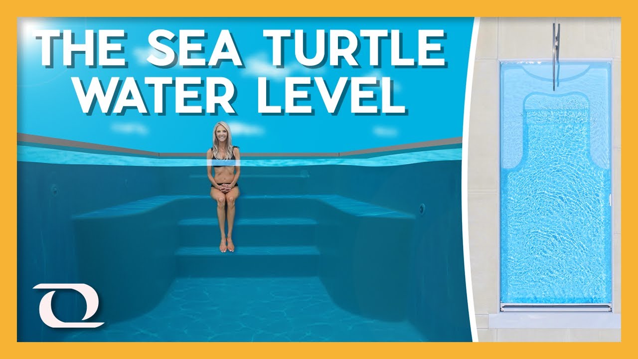 The Sea Turtle Pool Water Level | Thursday Pools