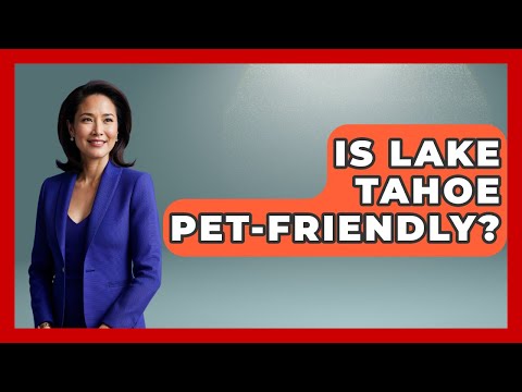 Is Lake Tahoe Pet-friendly? - The Family Getaway Guide