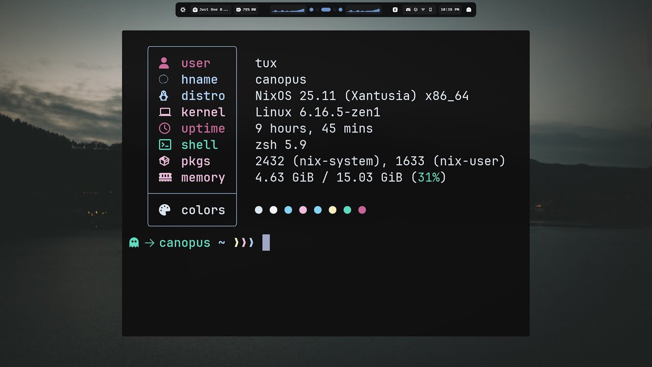 NixOS + Hyprland + tPanel | My Linux Rice!