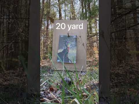 410 TSS patterns in my Stevens 301 Turkey #review #shorts #TSS #turkeyhunting #shotgun #gun #hunting