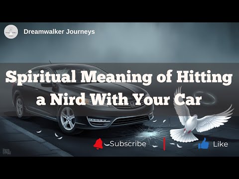 I Hit a Bird With My Car and Here's What I Learned Spiritually