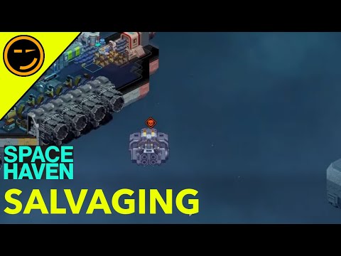 Steam Community :: Video :: Space Haven: Salvaging Pirate Ships | S3E16 ...