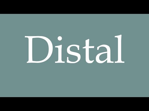 How to Pronounce ''Distal'' Correctly in French