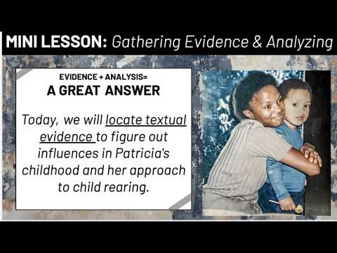 Born a Crime: Gathering Evidence & Analyzing