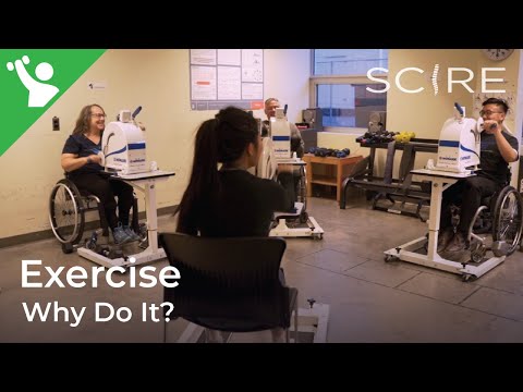 SPINALpedia | SPINALpedia