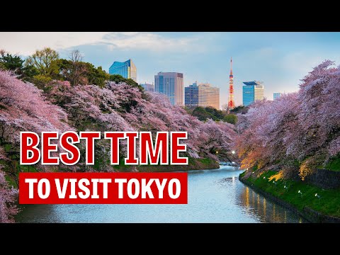 Best (and Smartest) Times to Visit Tokyo