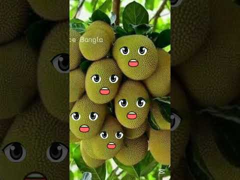 Alif un ba ta un cha Arabic song #islamic #shorts