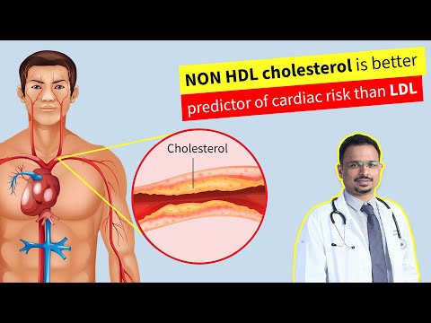 Your Lipid Profile / Cholesterol test report made EASY