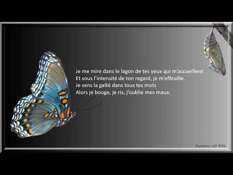 Tu ressembles à ce beau papillon – You look like this beautiful ...