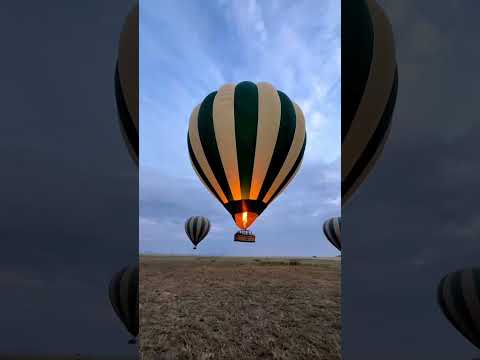 HOT AIR BALLOON SAFARI IN SERENGETI NATIONAL PARK #wildlife #nationalpark #serengeti #safari