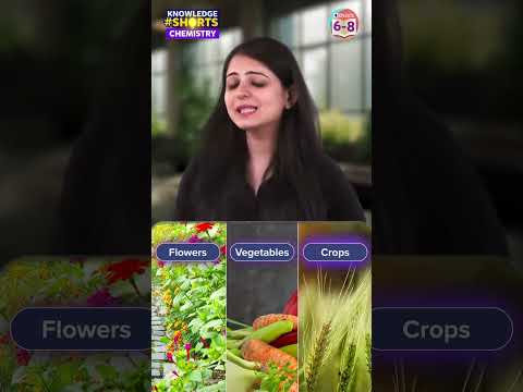 What are Weedicides? | Chemistry | BYJU'S #shorts