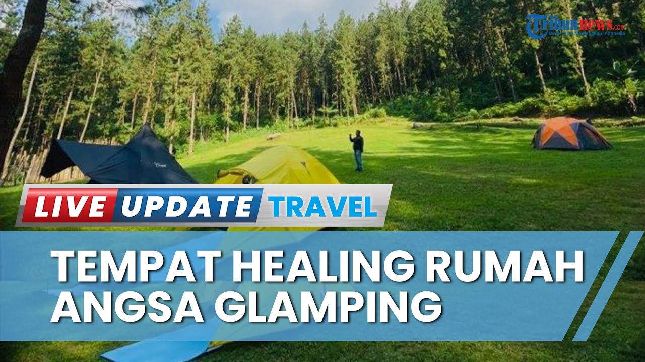 Tempat Camping dan Healing Bonus View Gunung Slamet di Rumah Angsa ...