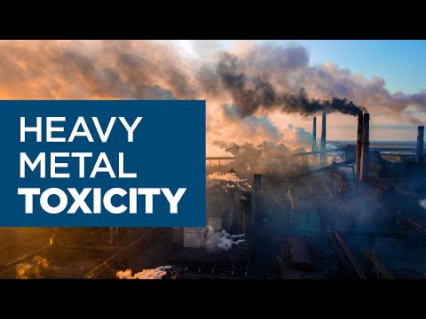 Heavy Metal Toxicity Explained: Why Detoxing Is Essential