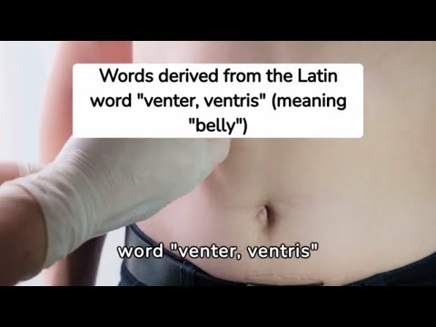 Belly's linguistic legacy, explained