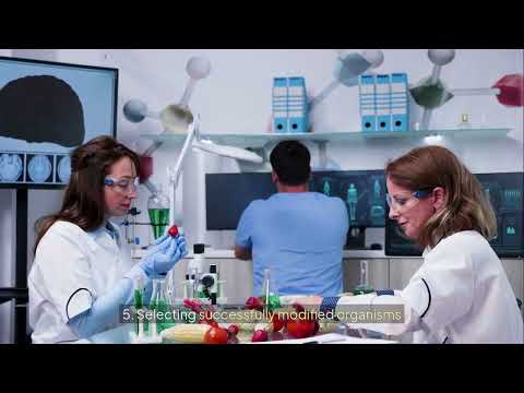 Biotechnology: Principles, Processes & Future Frontiers