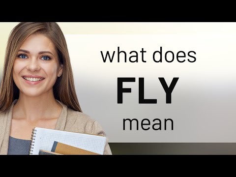 Fly | meaning of FLY