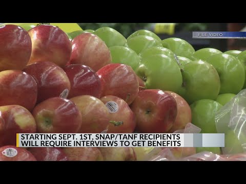 Starting Sept. 1, New Mexico SNAP/TANF recipients will have to interview for benefits